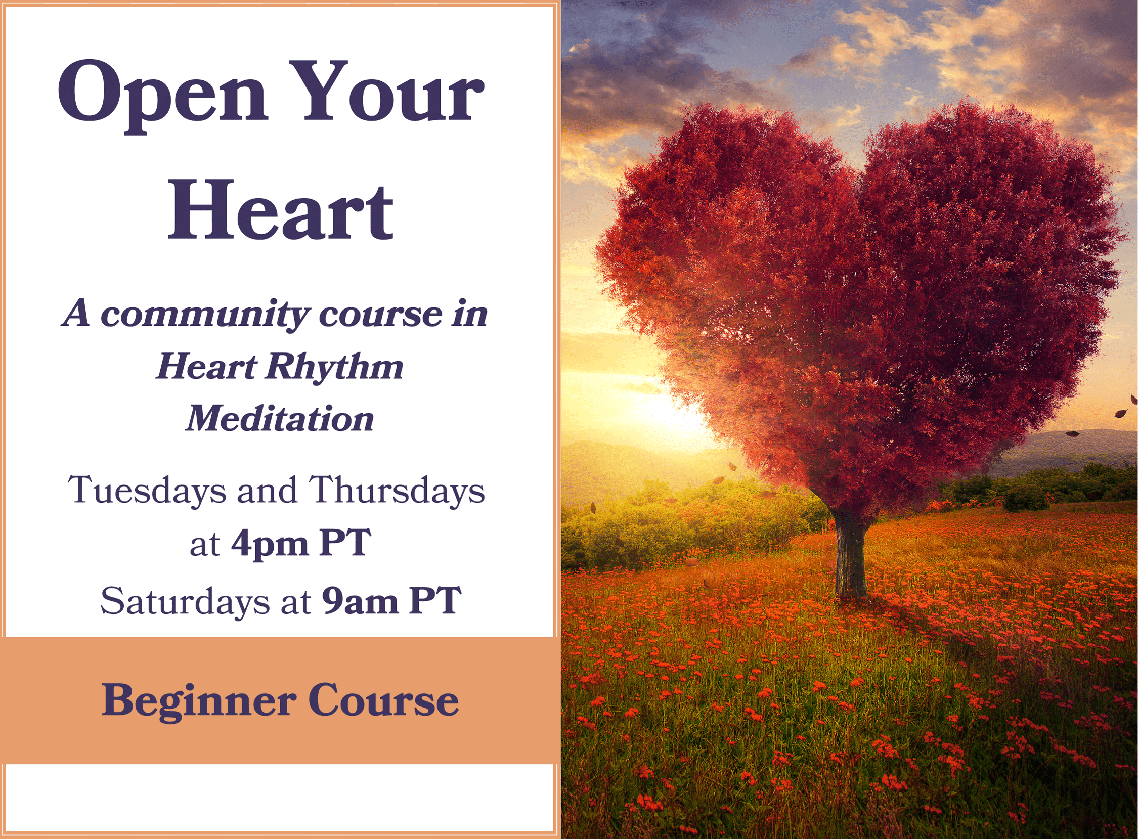 Open Your Heart: Heart Rhythm Meditation Free Course
